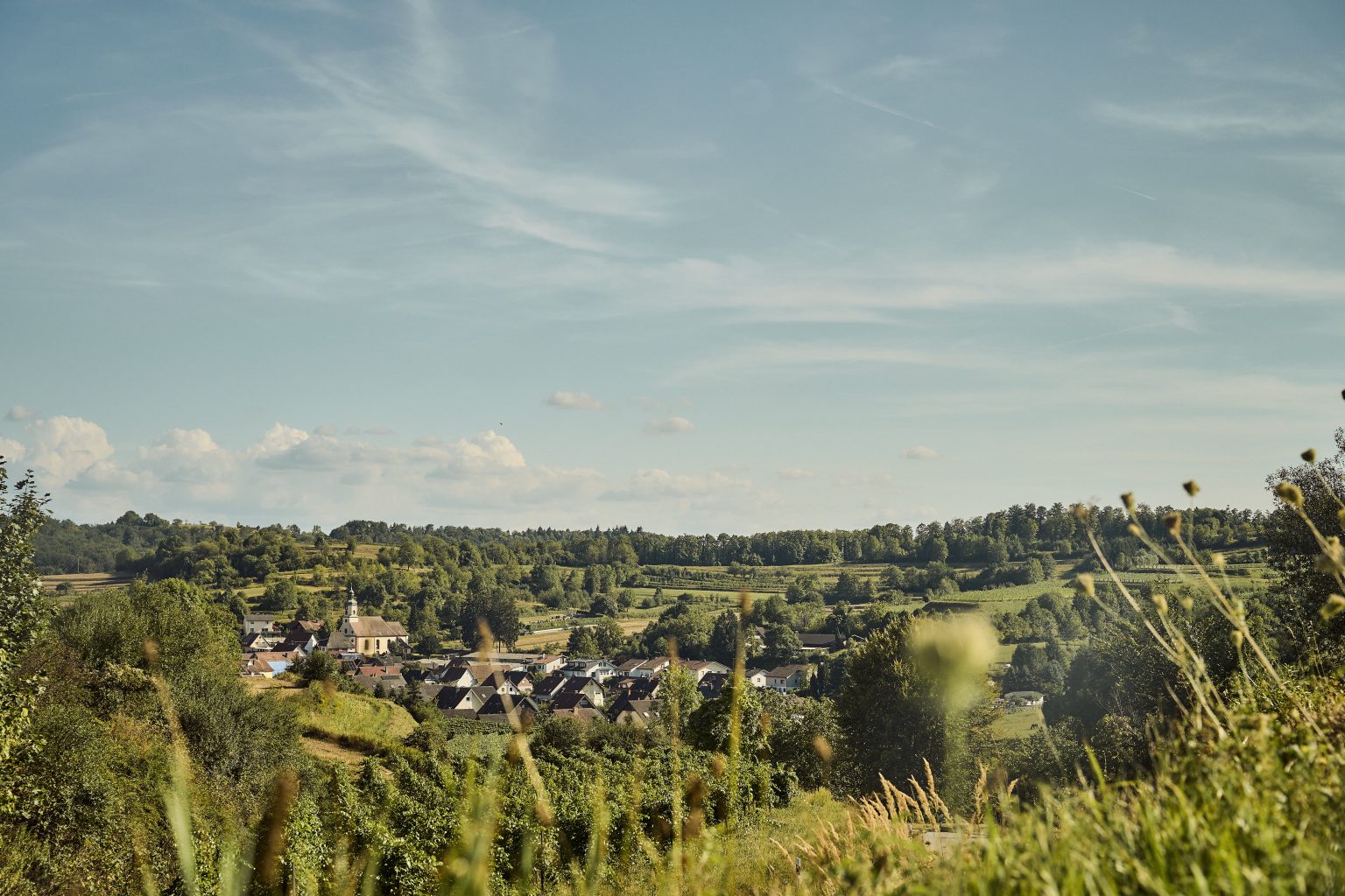 Friesenheim: Geschichte, Weinbau und idyllische Landschaften