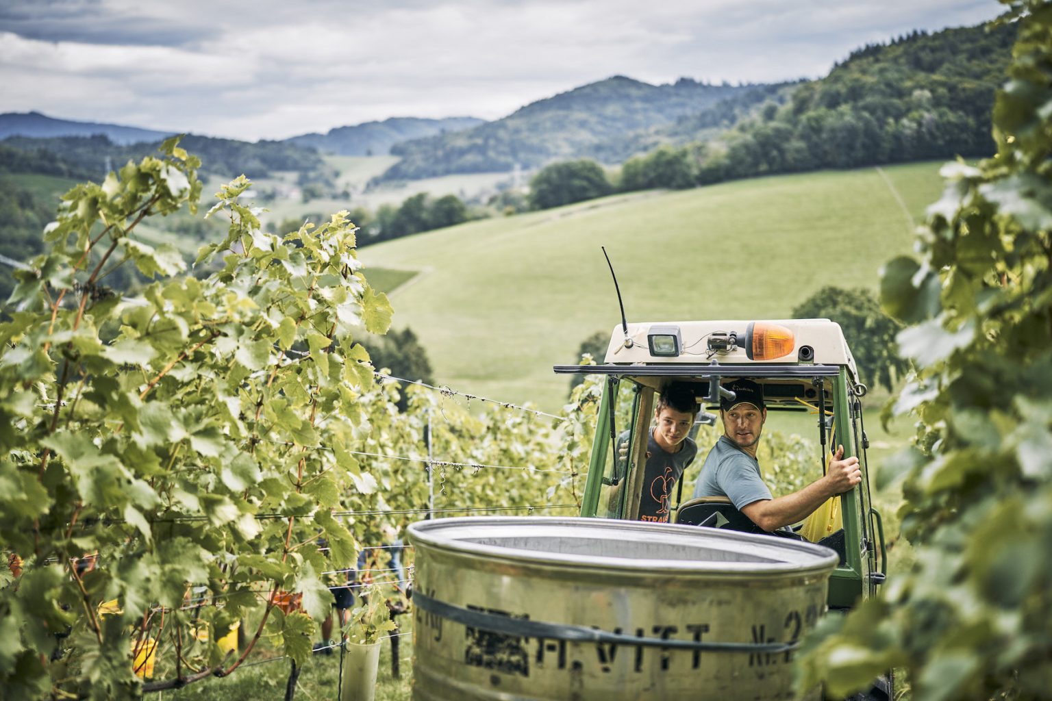 Badischer Winzerkeller | Spitzenweine aus Breisgau