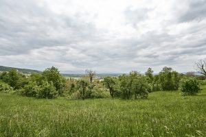 Gemeinde Teningen: Zwischen Schwarzwald und Kaiserstuhl