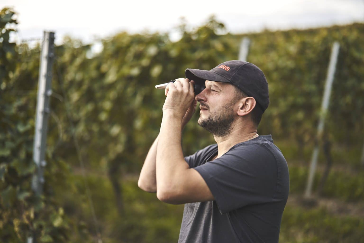 Weingut Moosmann: Tradition und Innovation im Breisgau