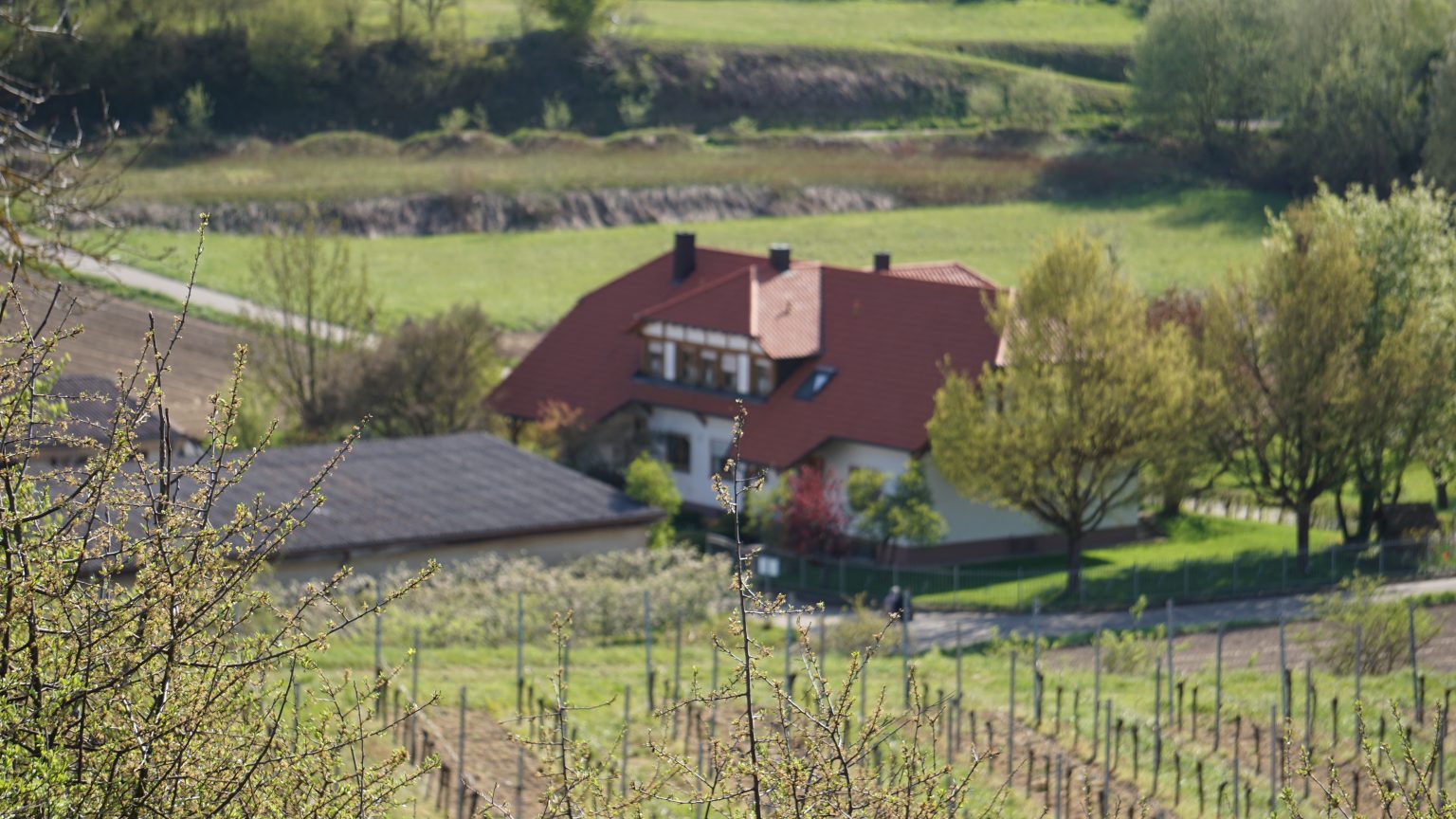 Badischer Winzerkeller | Spitzenweine aus Breisgau