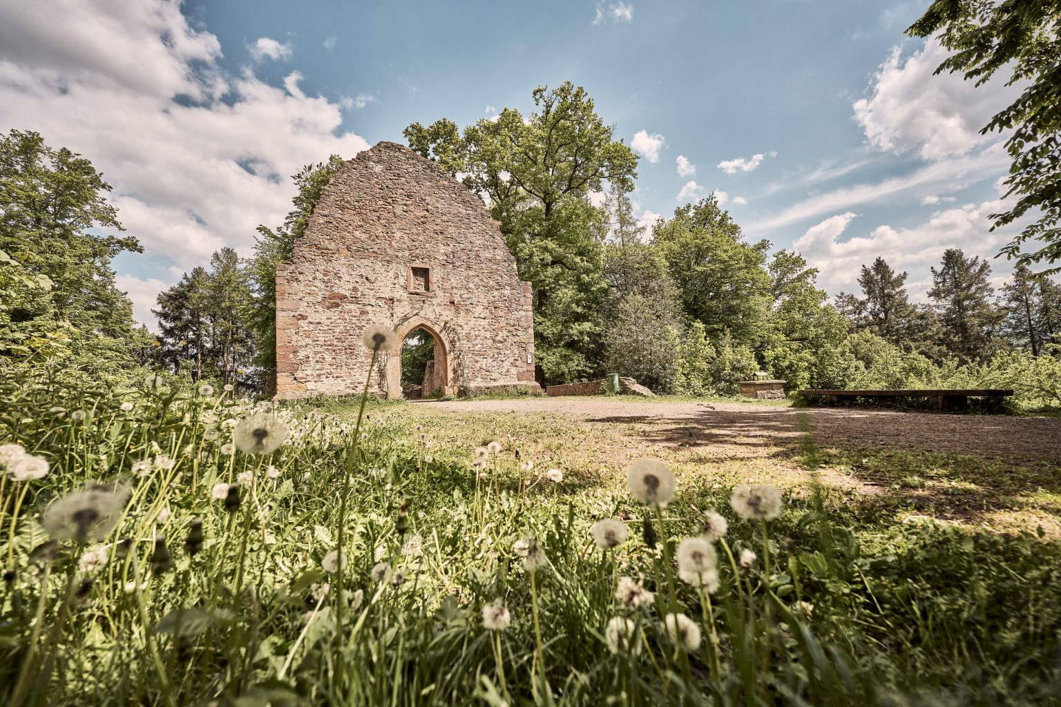 Gemeinde Teningen: Zwischen Schwarzwald und Kaiserstuhl