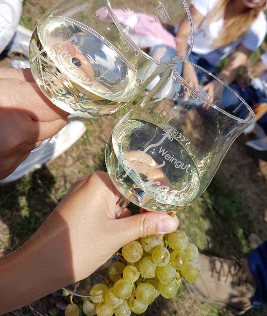 Badischer Winzerkeller | Spitzenweine aus Breisgau