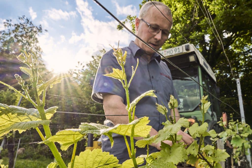 Weingut Moosmann: Tradition und Innovation im Breisgau
