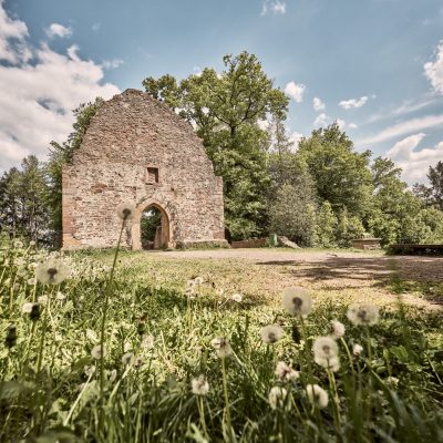 Denzlingen: Entdecken Sie den Charme des Breisgaus